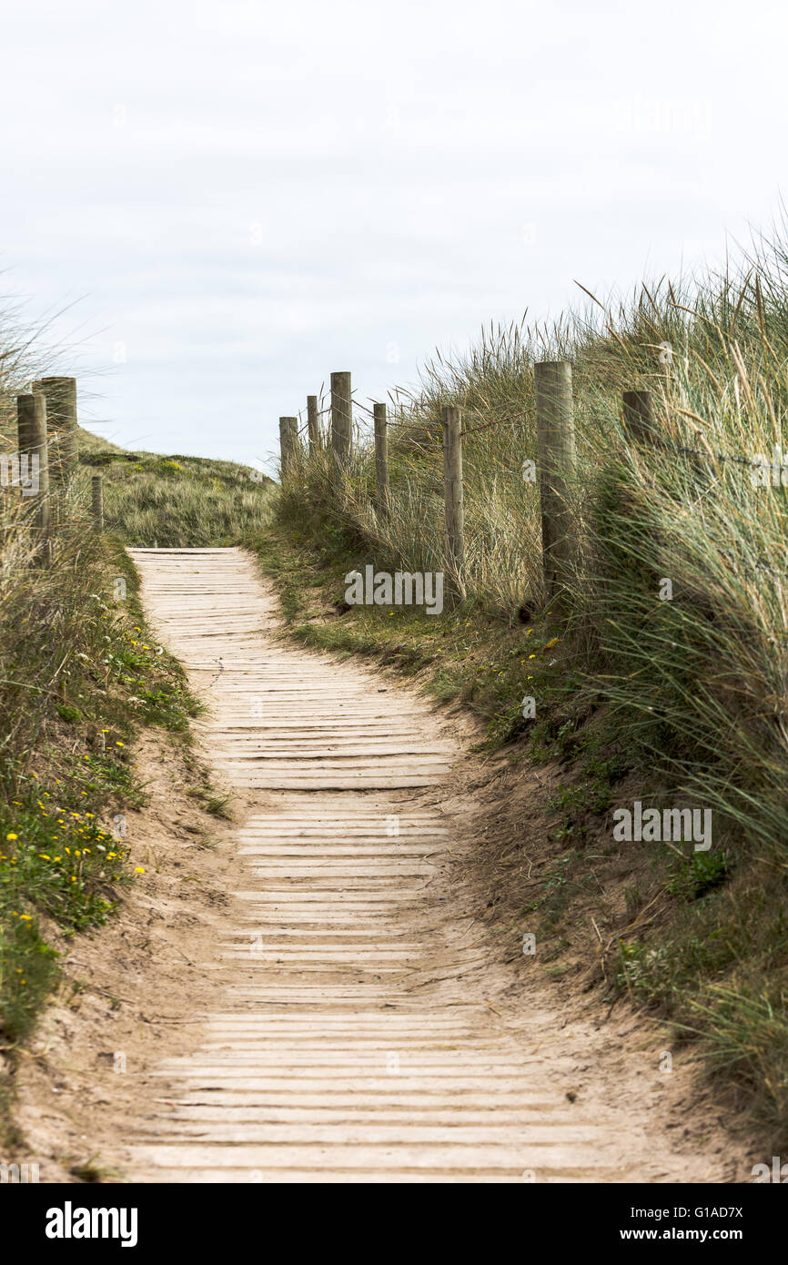 Pedestrian path leading to Godrevy Beach, Cornwall, UK Stock Photo - Alamy