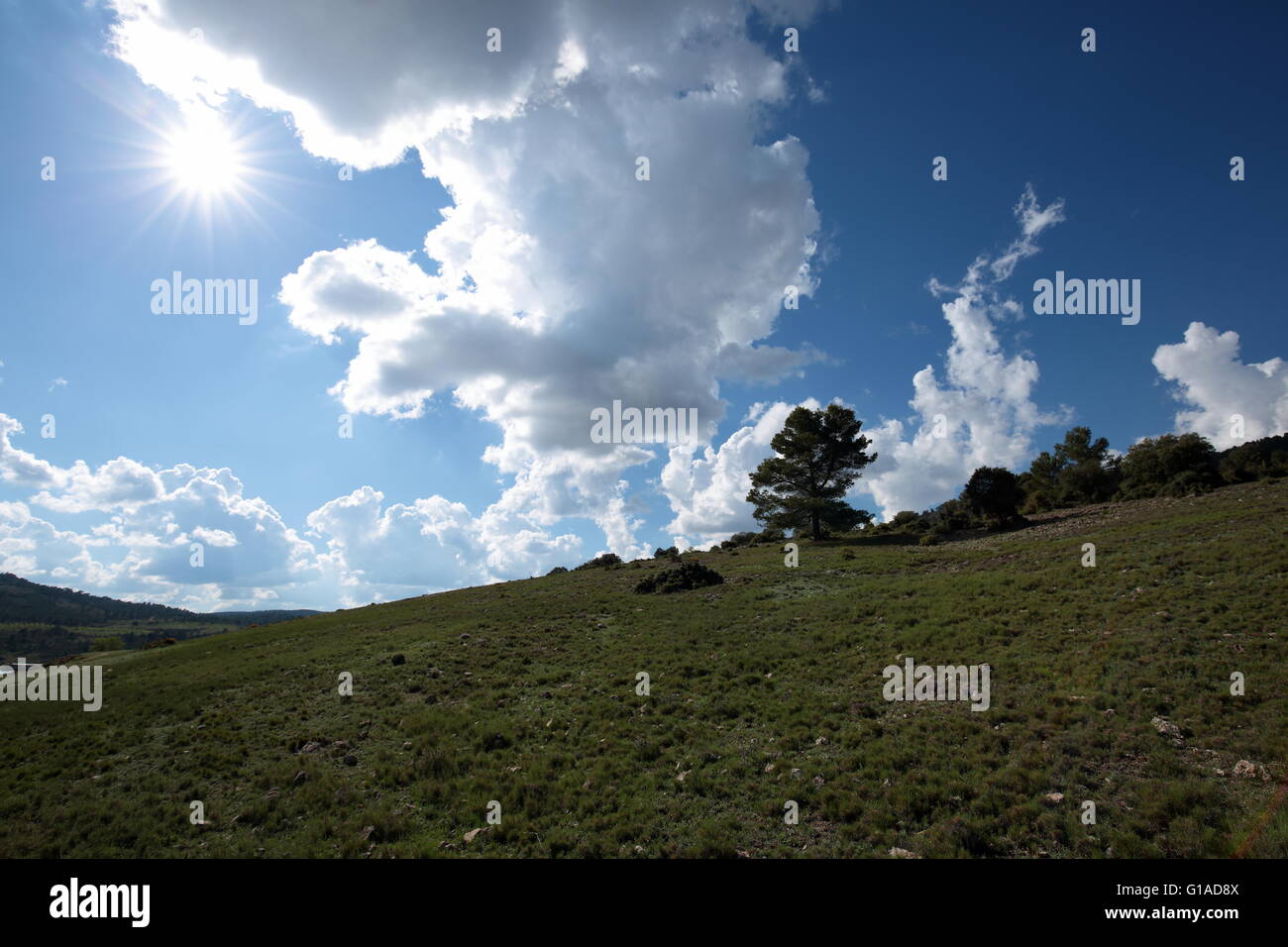 Green landscape with clouds and sun front Stock Photo - Alamy