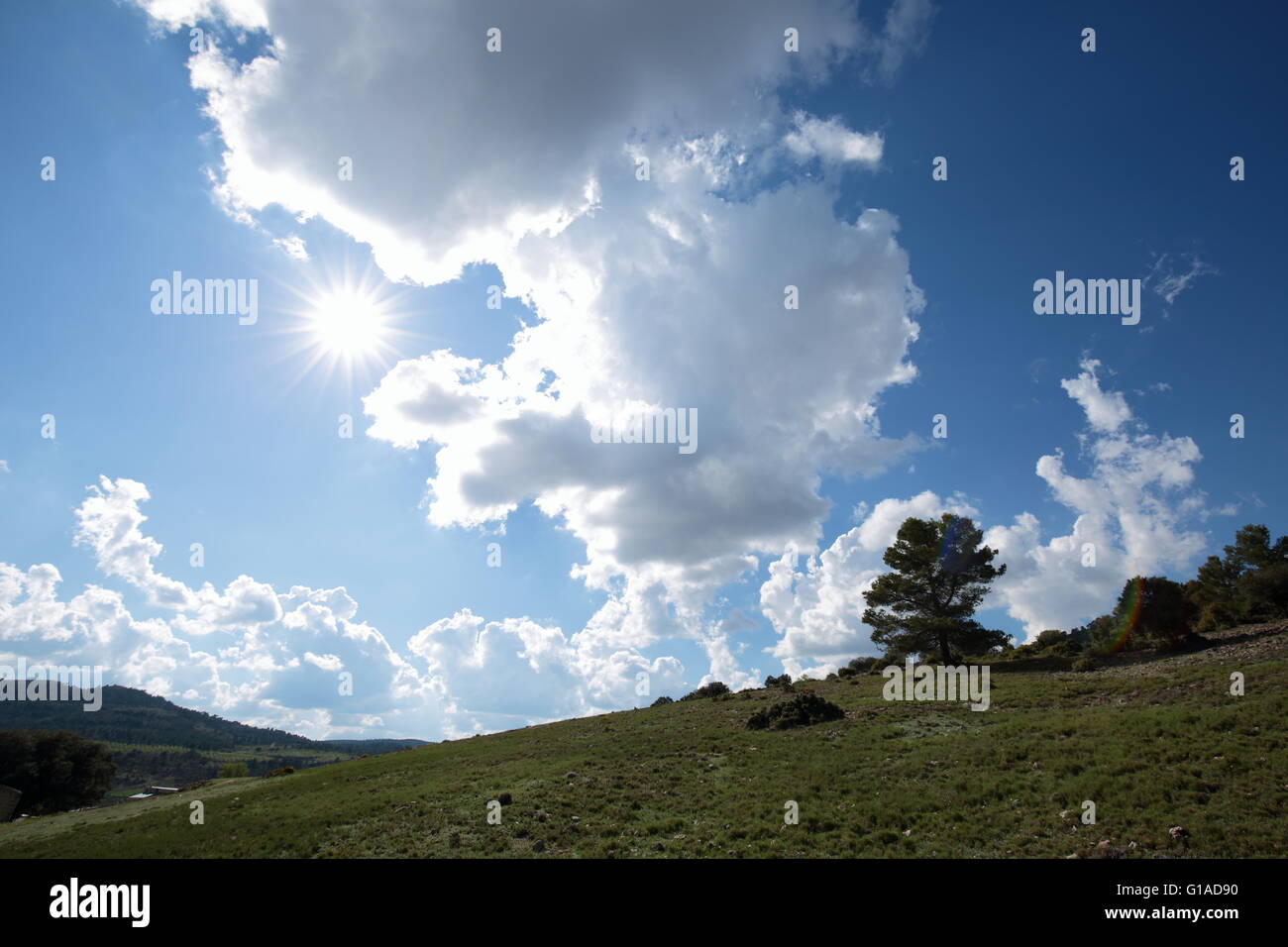 Green landscape with clouds and sun front Stock Photo - Alamy