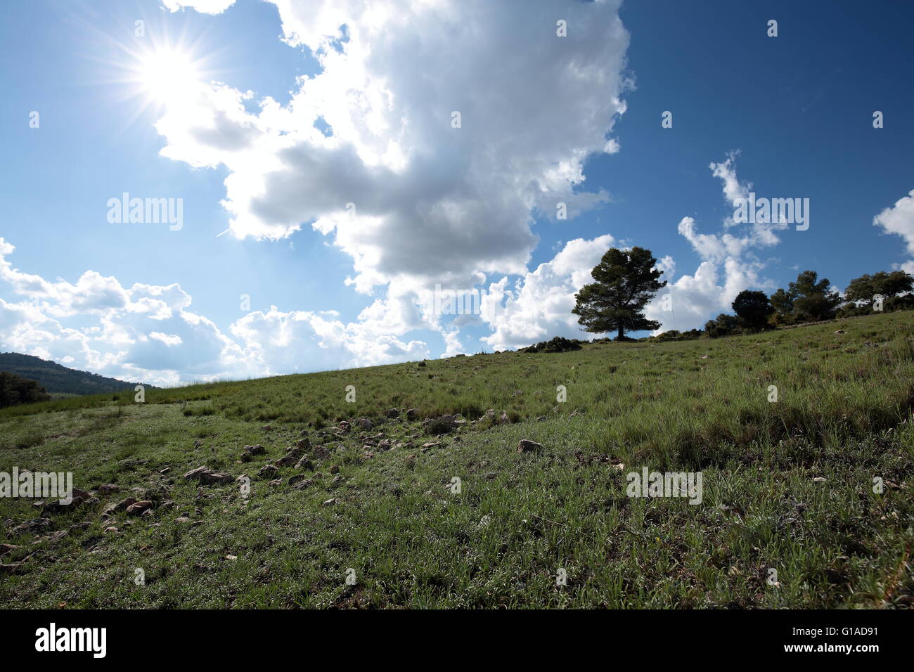 Green landscape with clouds and sun front Stock Photo - Alamy