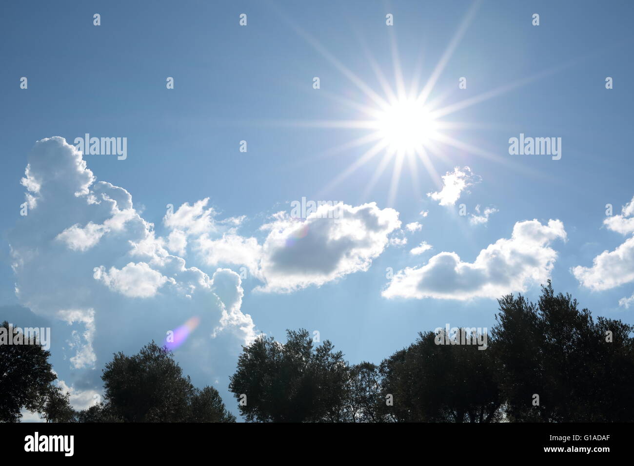 Green landscape with clouds and sun front Stock Photo - Alamy