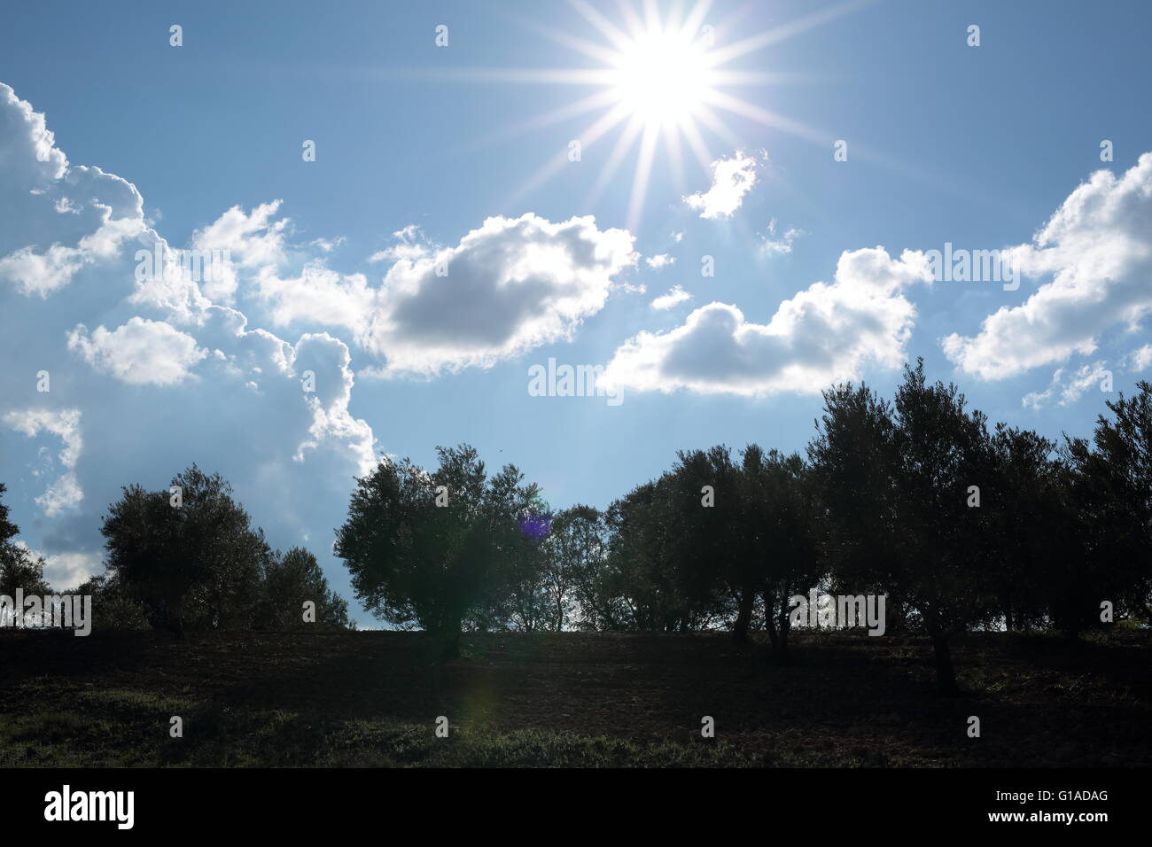 Green landscape with clouds and sun front Stock Photo - Alamy