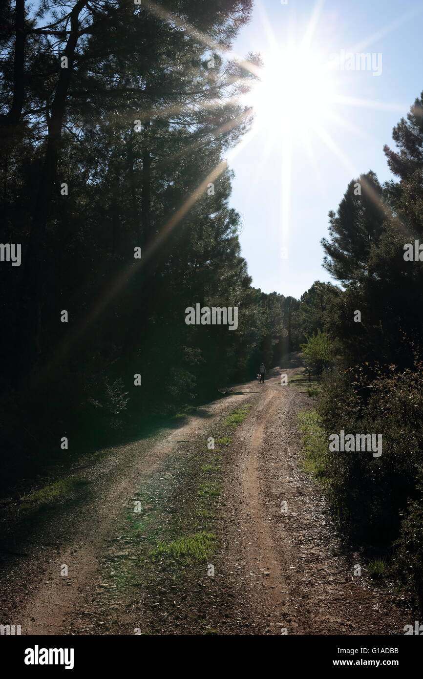 Green landscape with clouds and sun front Stock Photo - Alamy