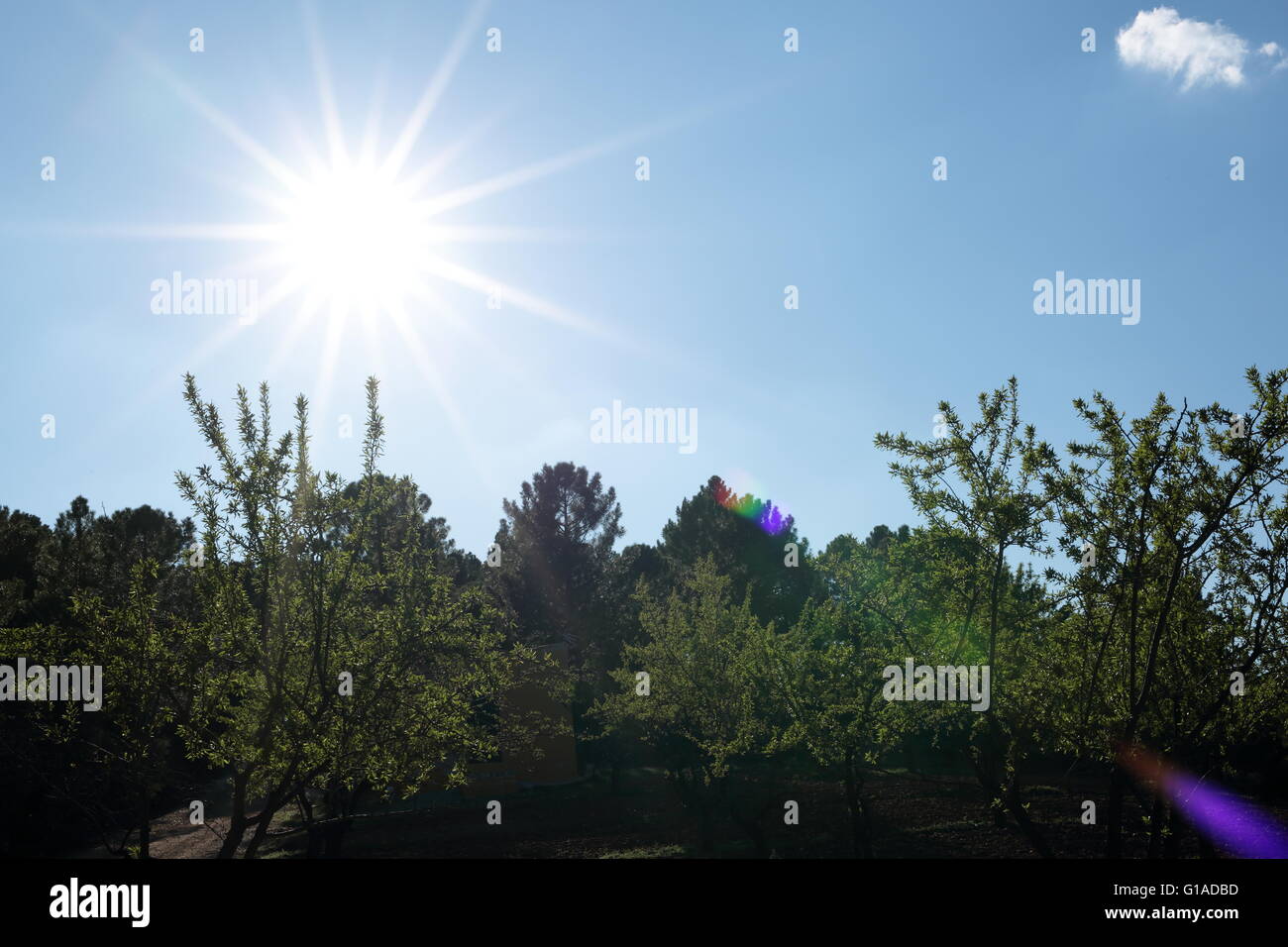 Green landscape with clouds and sun front Stock Photo - Alamy