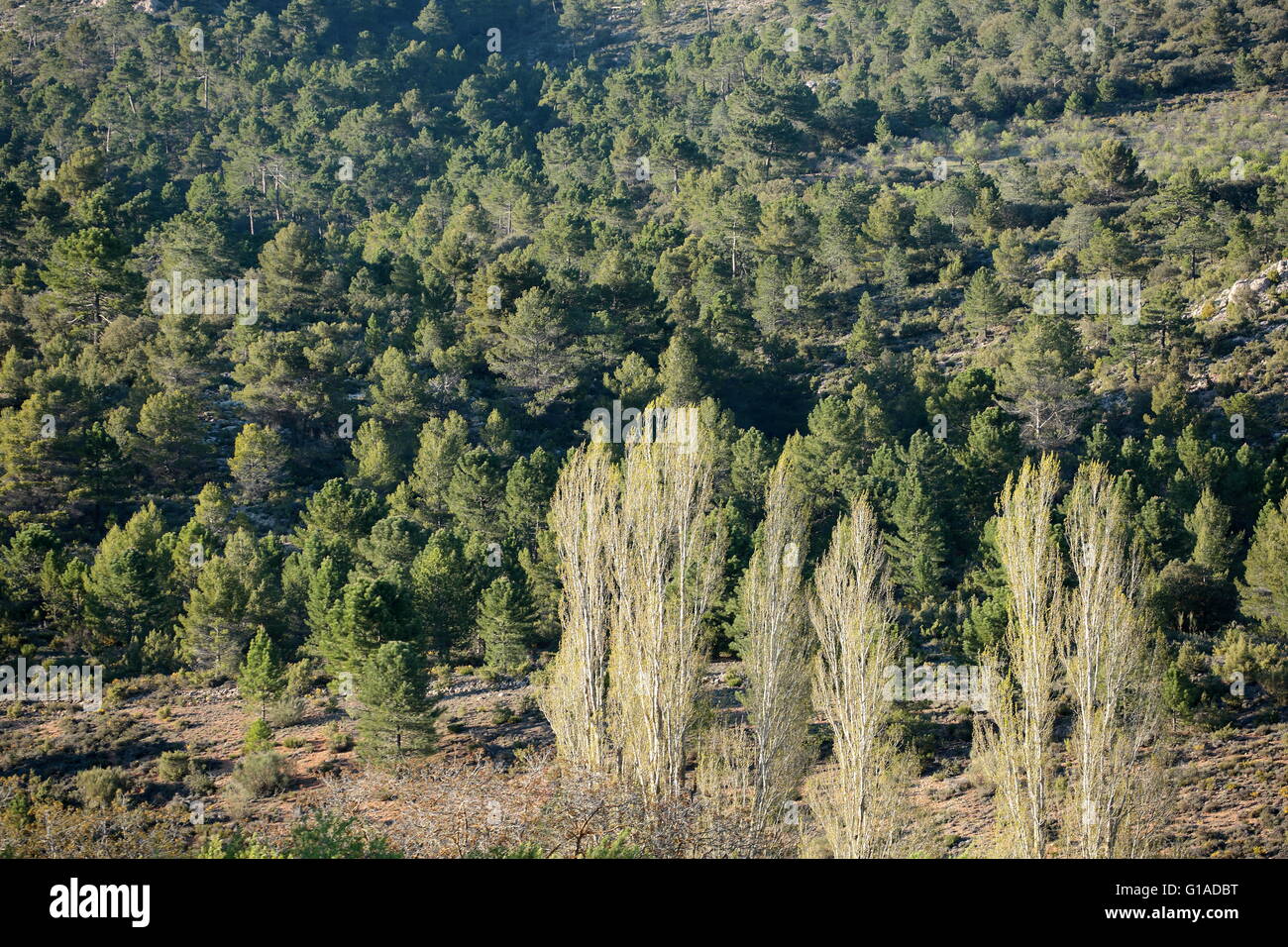 Spanish mountain landscape hi-res stock photography and images - Alamy