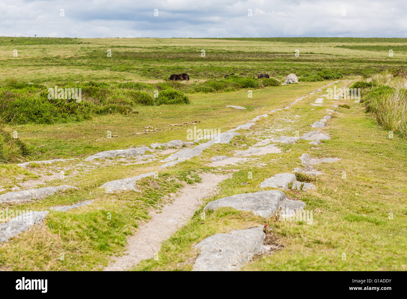 Haytor Granite Tramway, Dartmoor Park, Devon, UK Stock Photo - Alamy