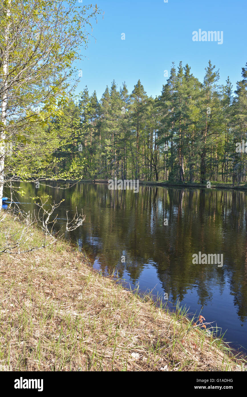 Forest river in early may. Spring landscape on the river in the ...