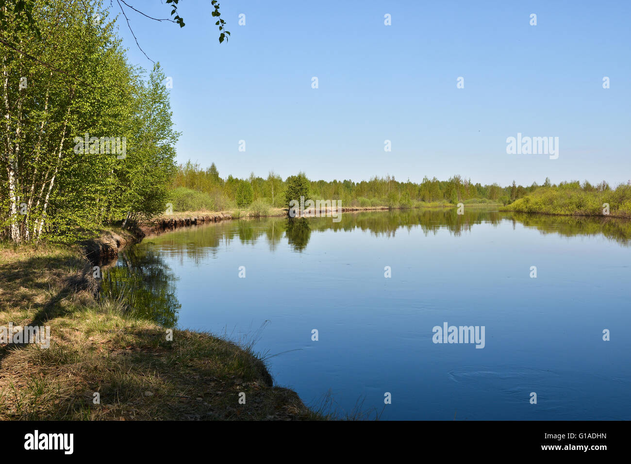 Russia forest hi-res stock photography and images - Alamy