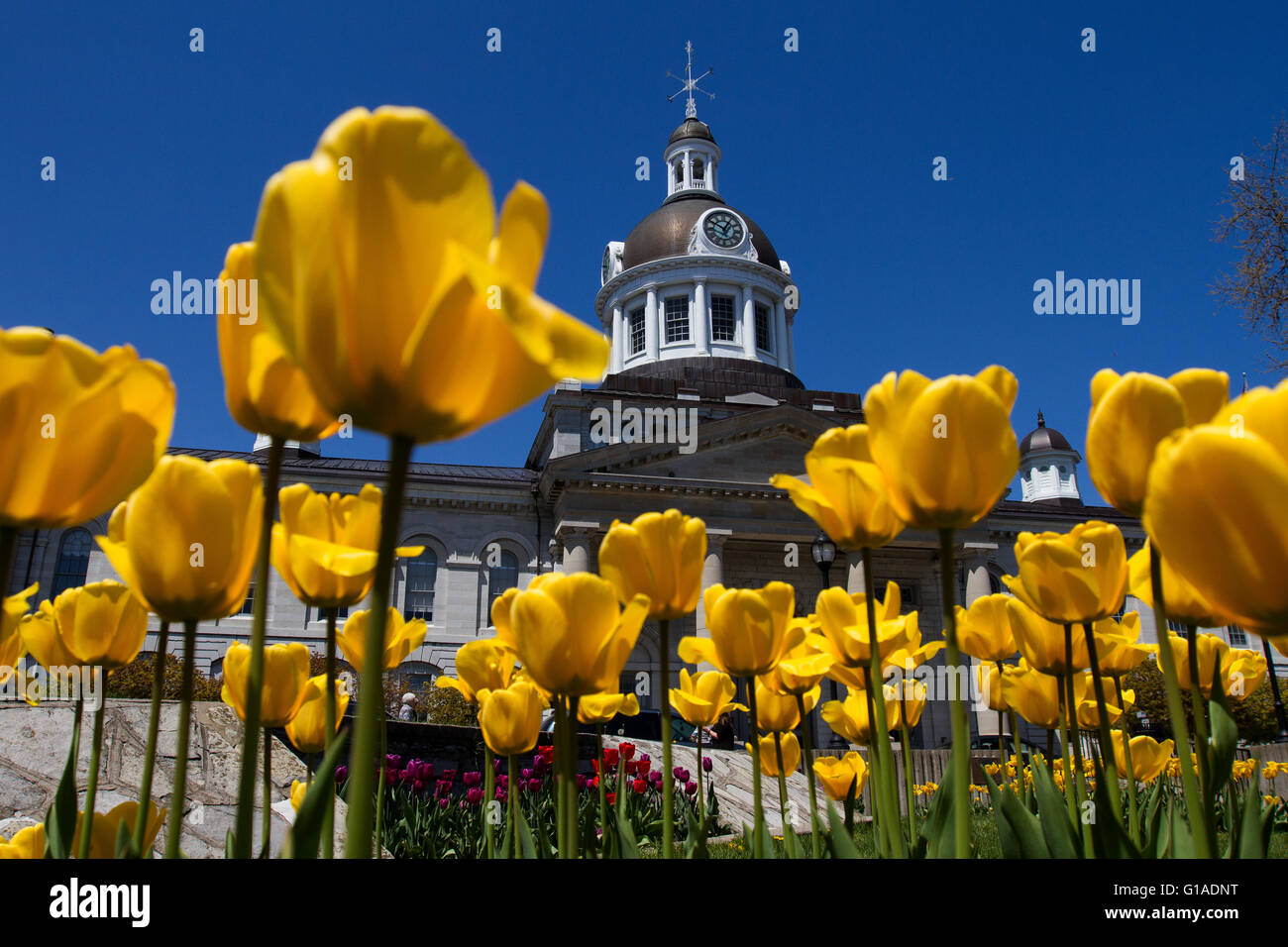City hall in Kingston Ont., on May 11, 2016 Stock Photo - Alamy
