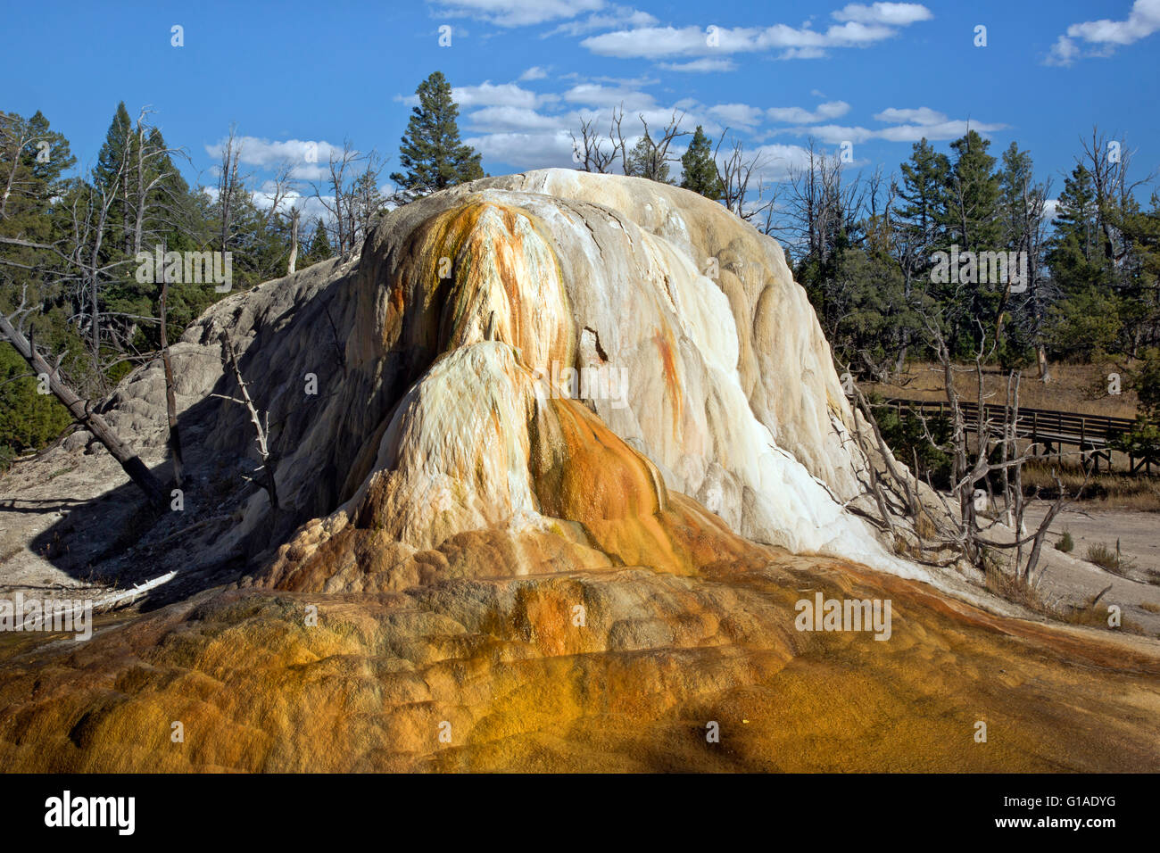 WY01677-00...WYOMING - Orange Spring Mound at Mammoth Hot Springs in ...