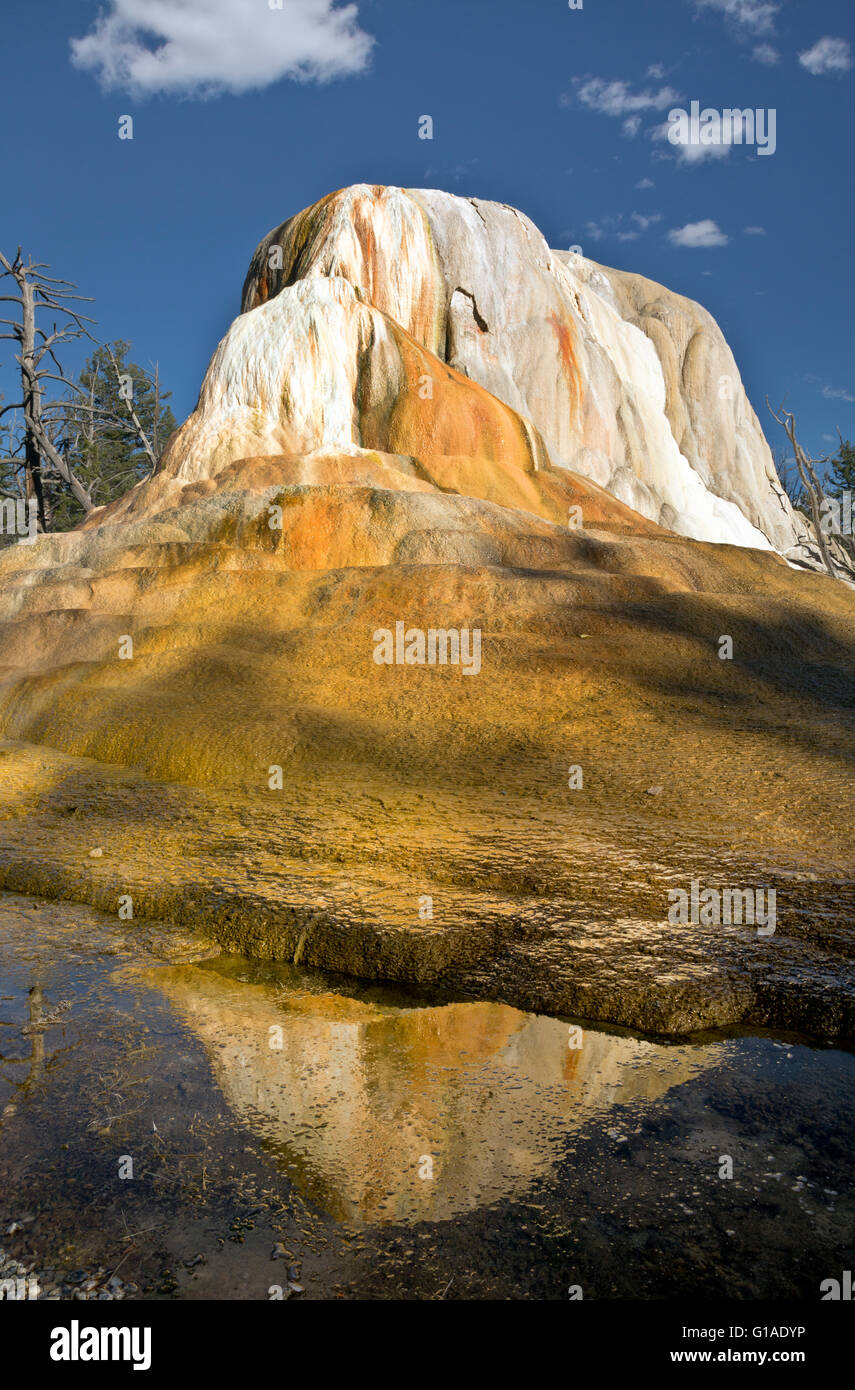 Orange spring mound yellowstone national park hi-res stock photography ...