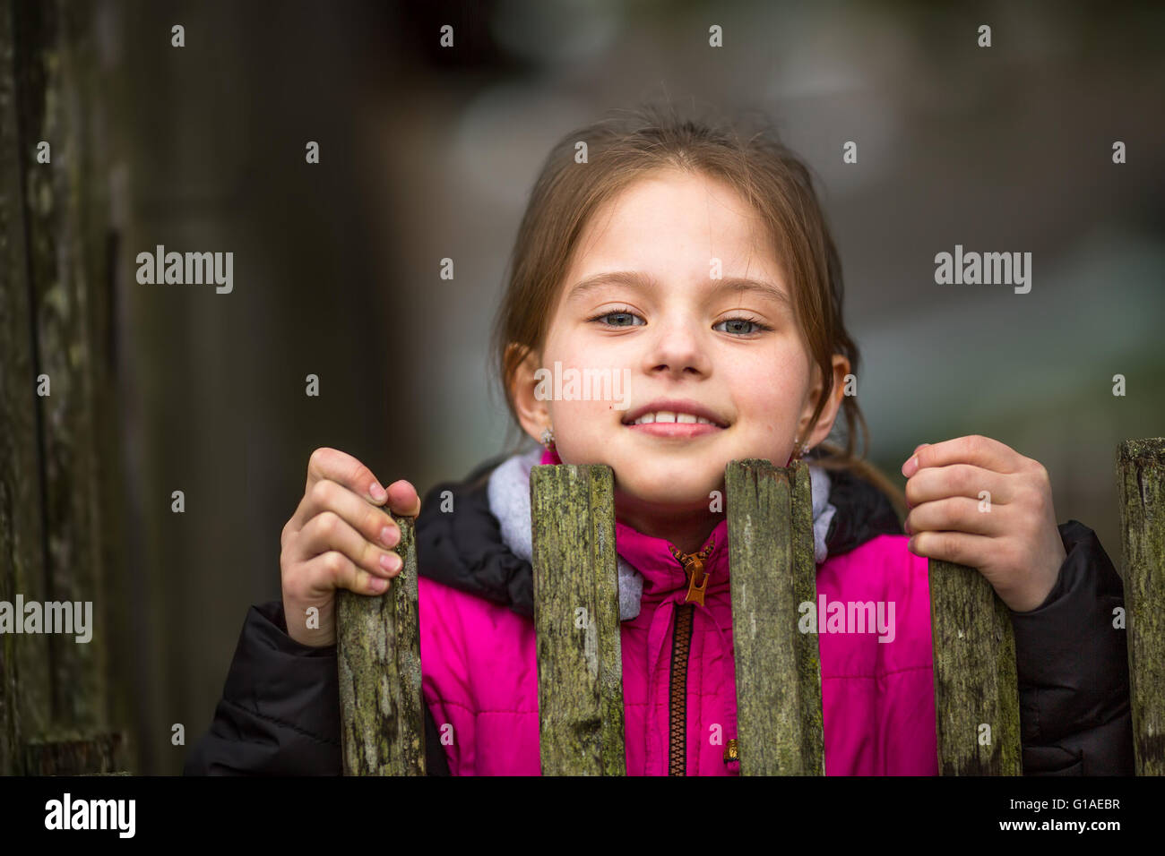 Peeking over the fence hi-res stock photography and images - Alamy