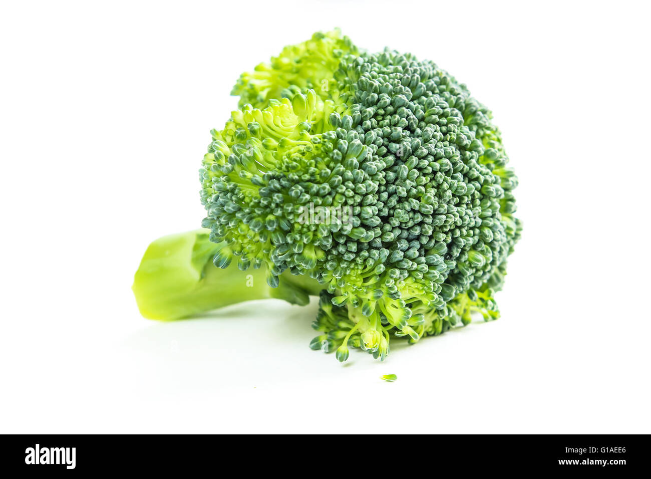 Fresh broccoli isolated on white background Stock Photo - Alamy