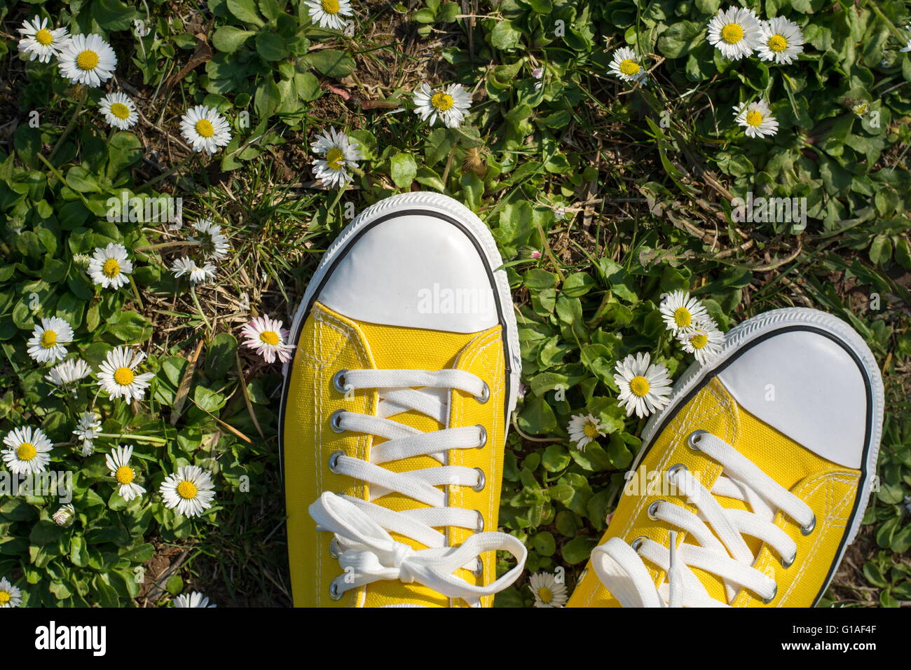 First person view woman legs hi-res stock photography and images - Alamy