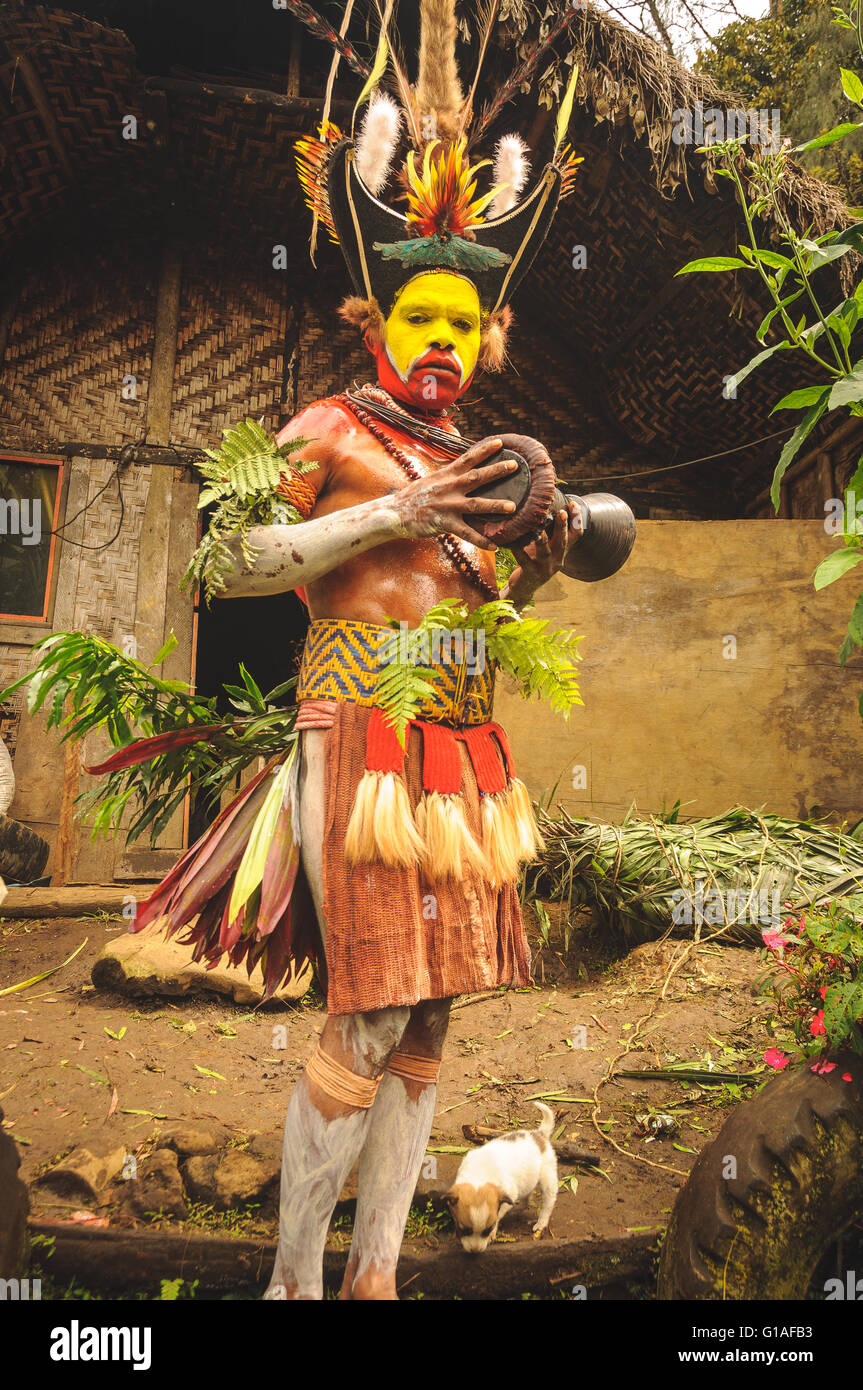 The Huli Wigmen Tribe attending the Piaya Village Sing Sing near Mt ...