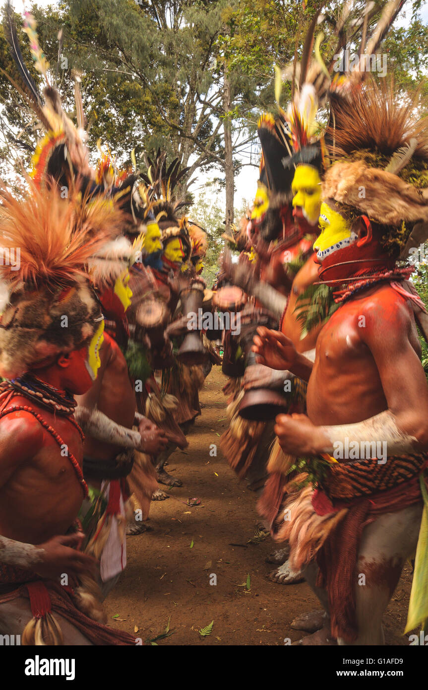 The Huli Wigmen Tribe attending the Piaya Village Sing Sing near Mt ...