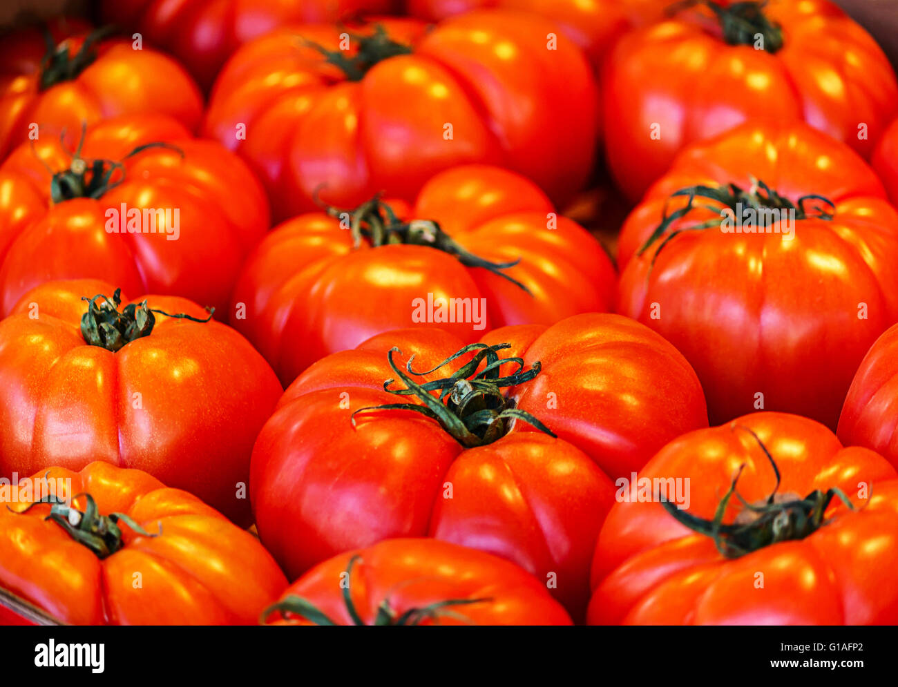 Fresh red beef tomatoes Stock Photo - Alamy