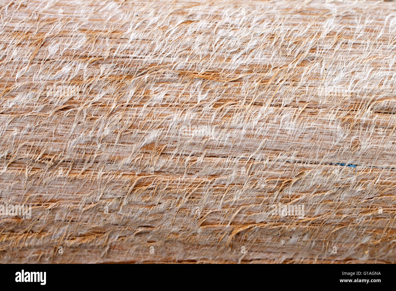 Texture of Fibrous timber closeup Stock Photo - Alamy