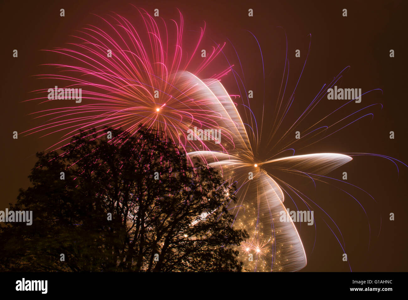 Long exposure of fireworks captured on Bonfire Night in north London ...