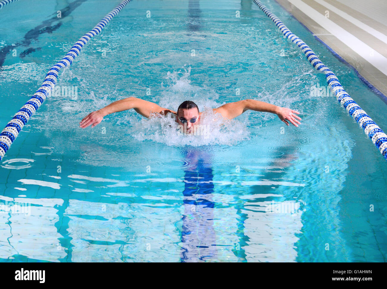 Butterfly stroke hi-res stock photography and images - Alamy