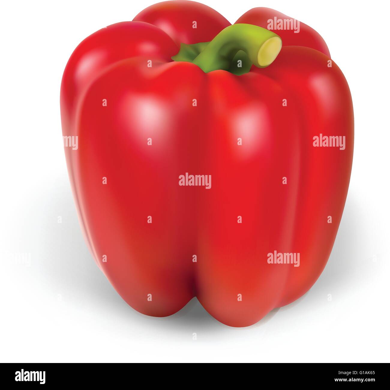 Photo of green pepper Stock Vector Images - Alamy