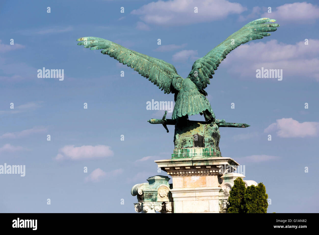 National bird of hungary hi-res stock photography and images - Alamy