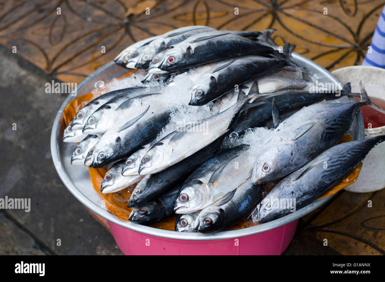 Fish market, My Tho, Vietnam Stock Photo - Alamy
