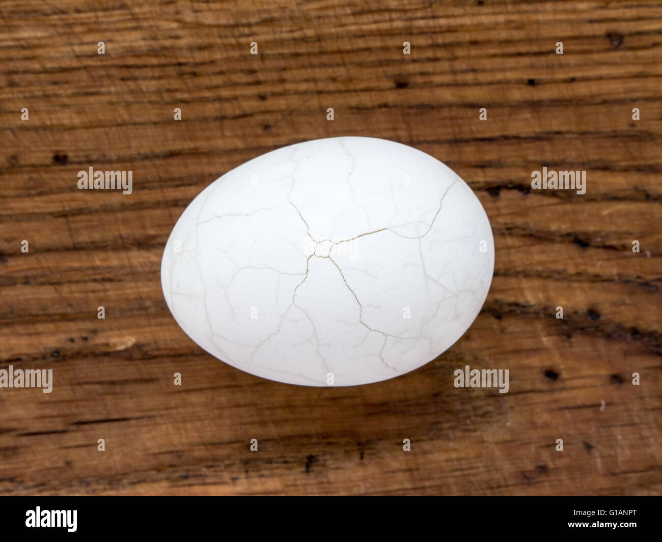 The cracked chicken egg Stock Photo - Alamy