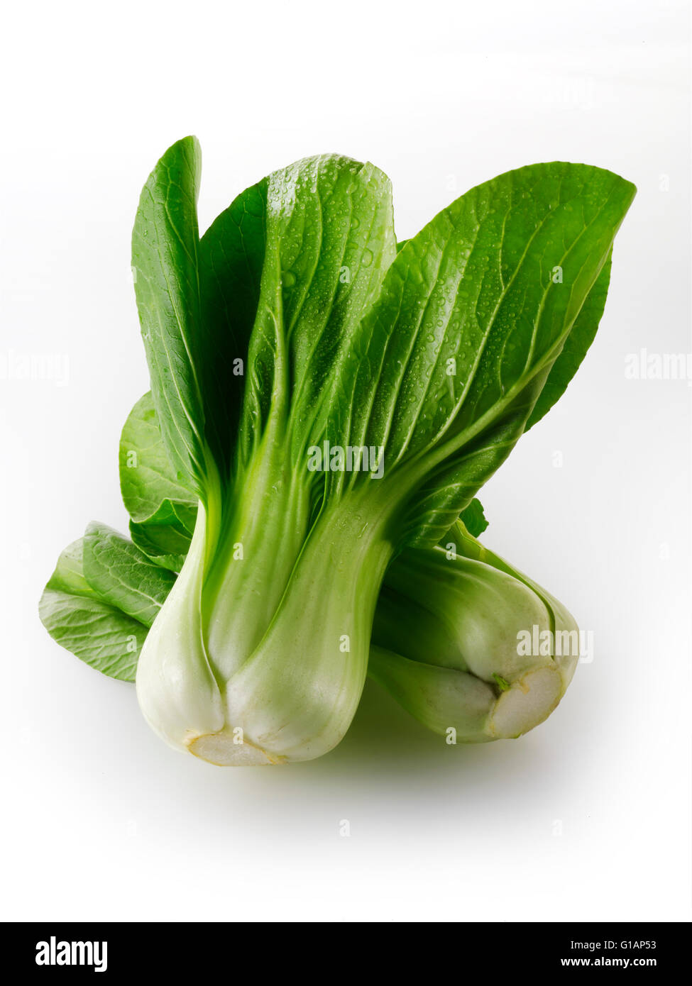 Fresh whole Pak Choi Leaves Stock Photo - Alamy