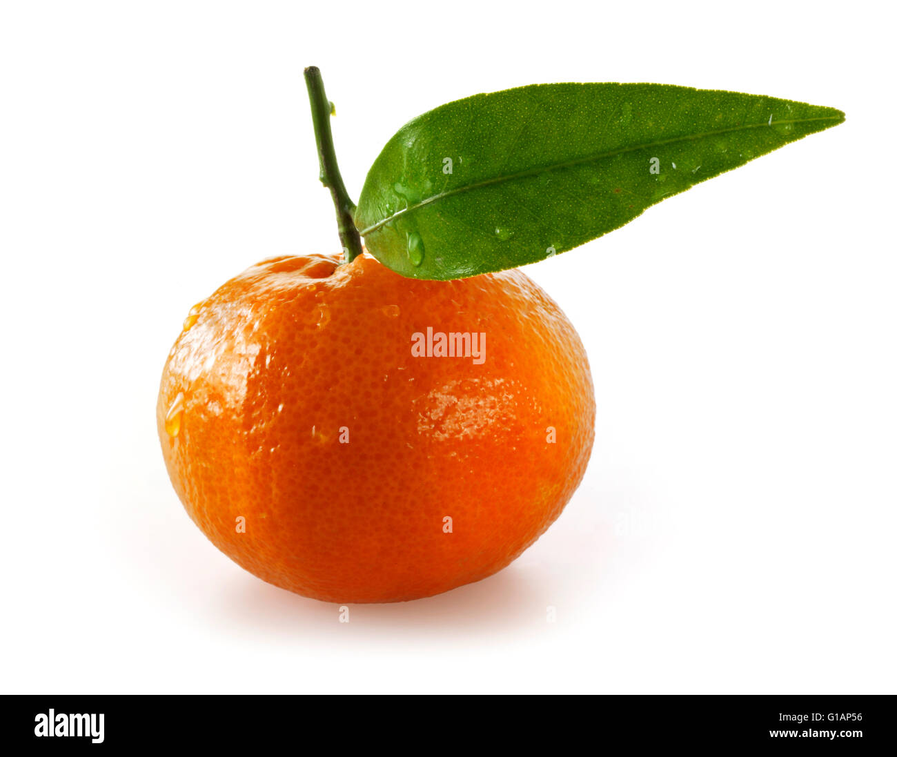 Fresh whole Clementine fruit with leaf - white background cut out Stock ...