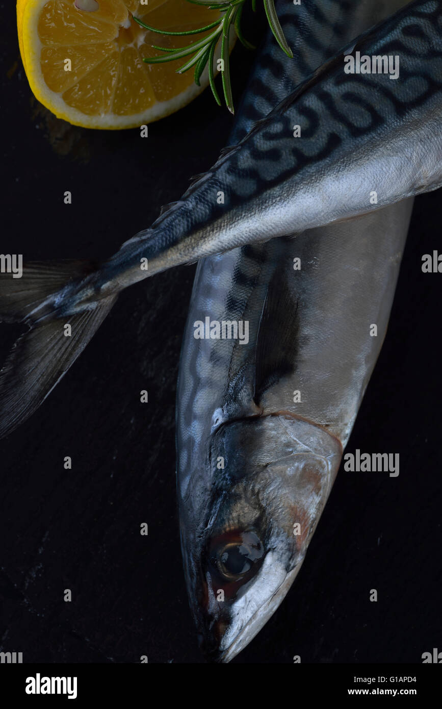 Whole mackerel. The image attempts to highlight the beauty of this fish ...