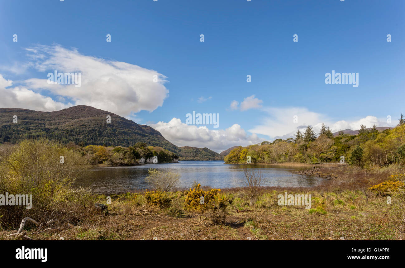 Muckross Lake, also called Middle Lake in the beautiful Killarney ...