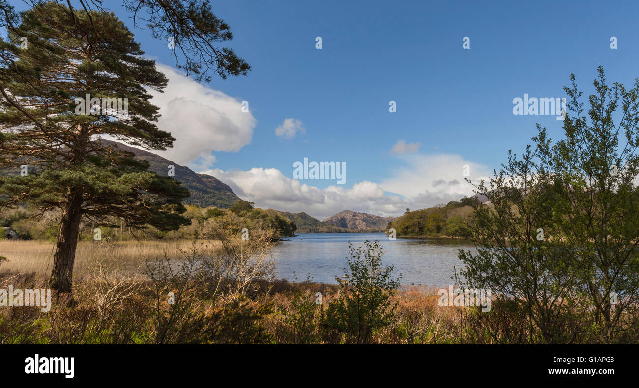 Muckross Lake, also called Middle Lake in the beautiful Killarney ...