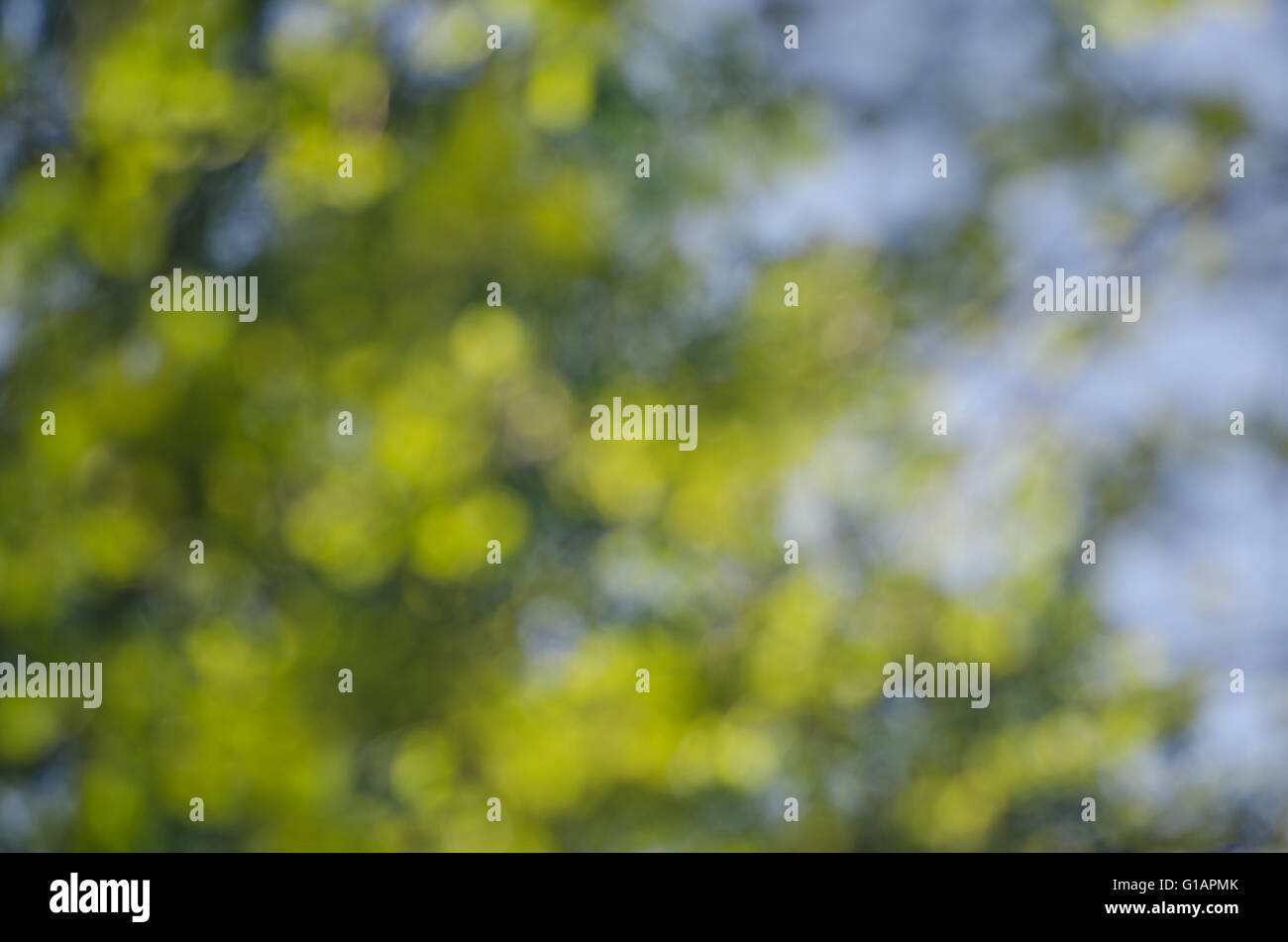 blurred spring nature defocused background Stock Photo - Alamy