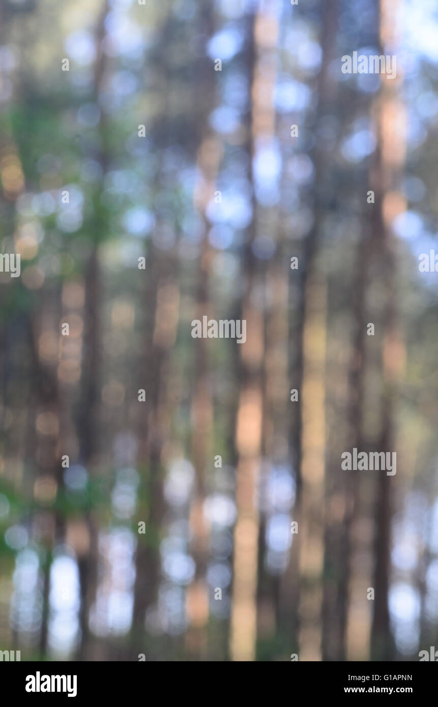 Blur background forest hi-res stock photography and images - Alamy