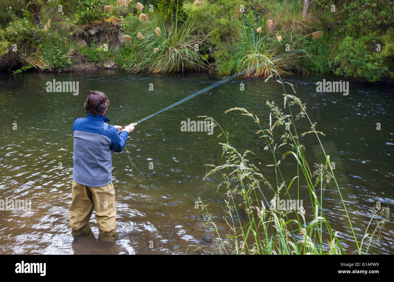 Tourists fly fishing with fishing guide in Lake Taupo area stream in ...