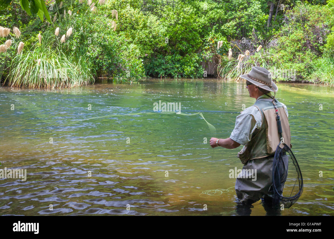 Tourists fly fishing with fishing guide in Lake Taupo area stream in ...