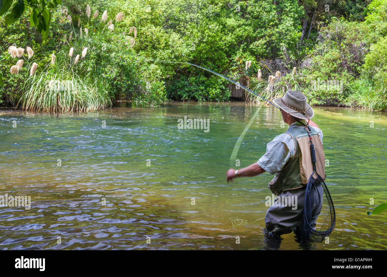 Tourists fly fishing with fishing guide in Lake Taupo area stream in ...