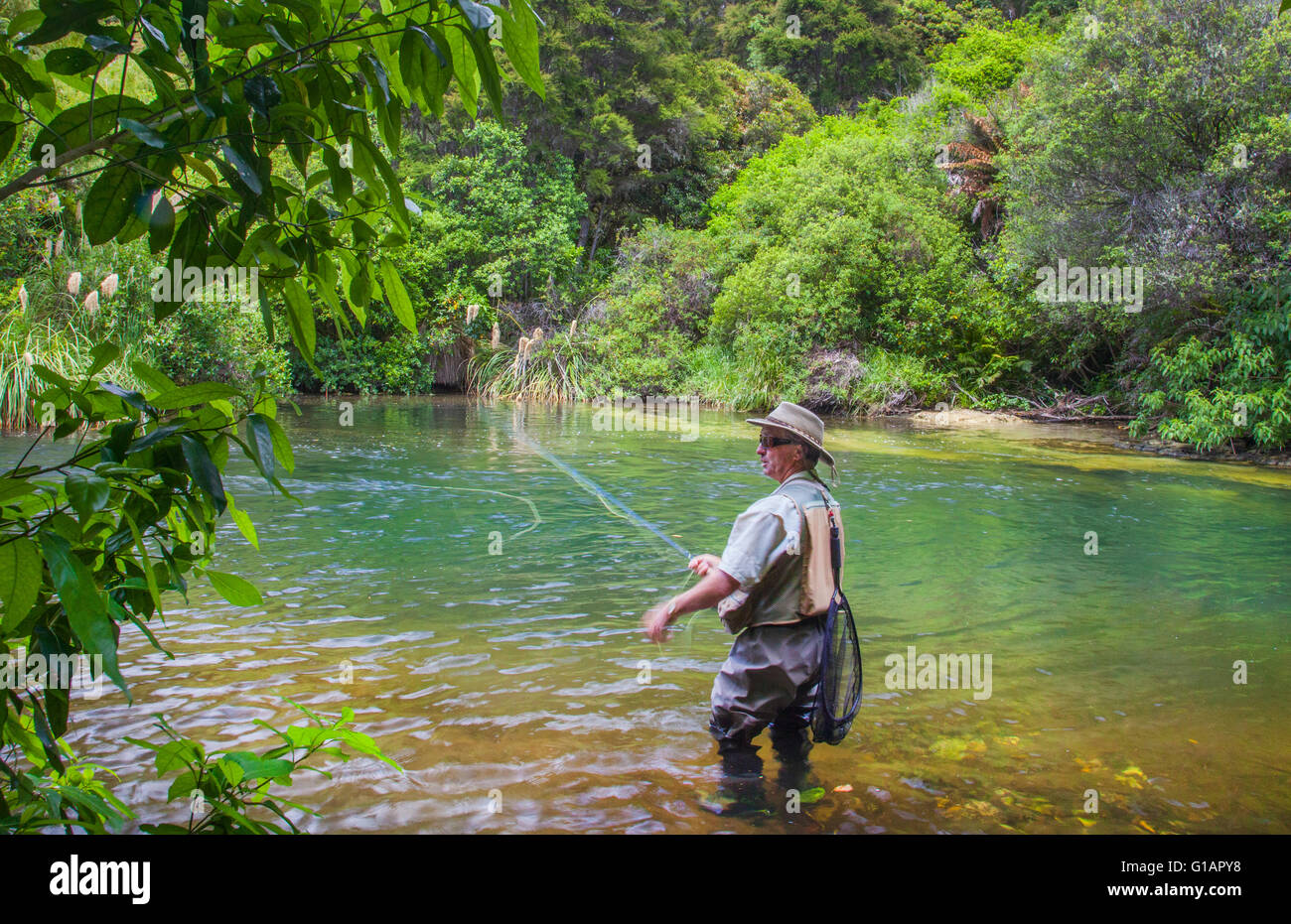 Tourists fly fishing with fishing guide in Lake Taupo area stream in ...