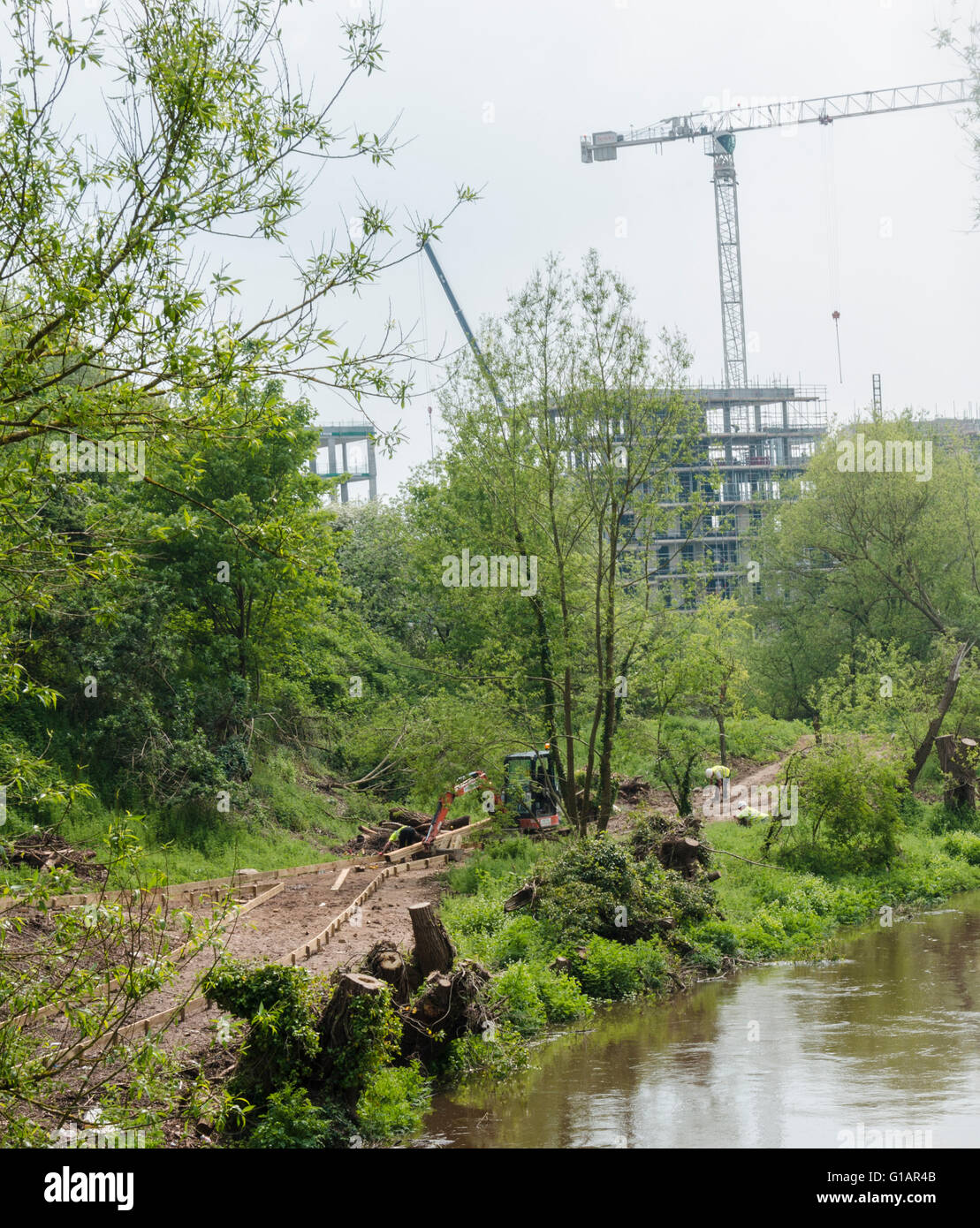 A new footpath being constructed running alongside the River Kennet to ...