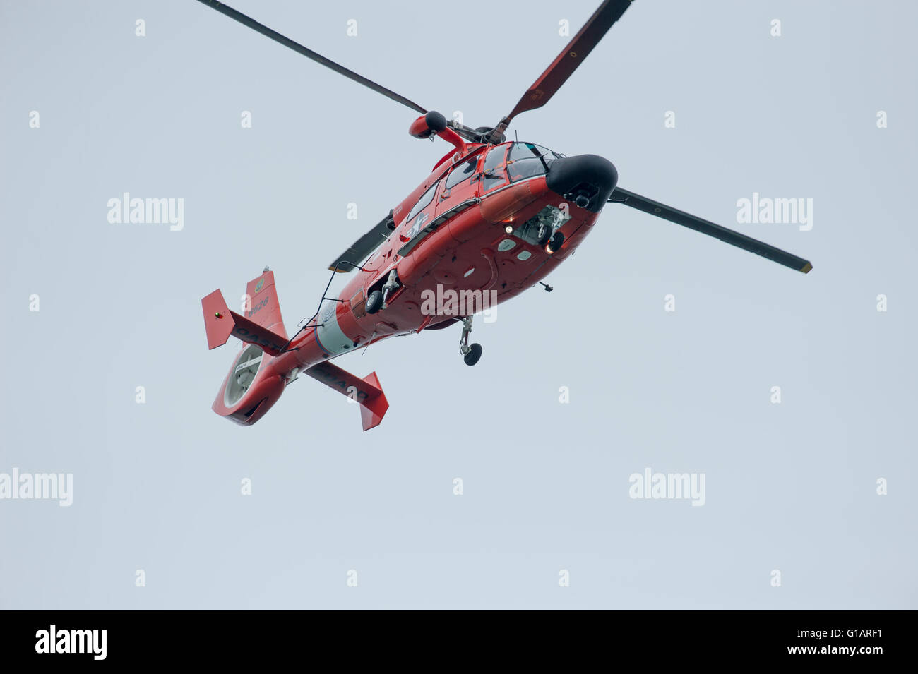 United States Coast Guard helicopter. Eurocopter HH-65 Dolphin Stock ...