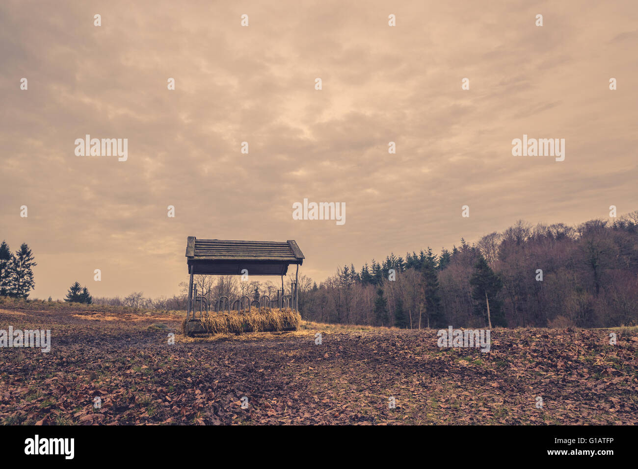 Homemade roof rack hi-res stock photography and images - Alamy