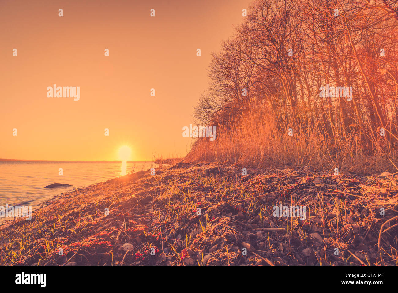 Morning sunrise by a large lake in the autumn Stock Photo - Alamy