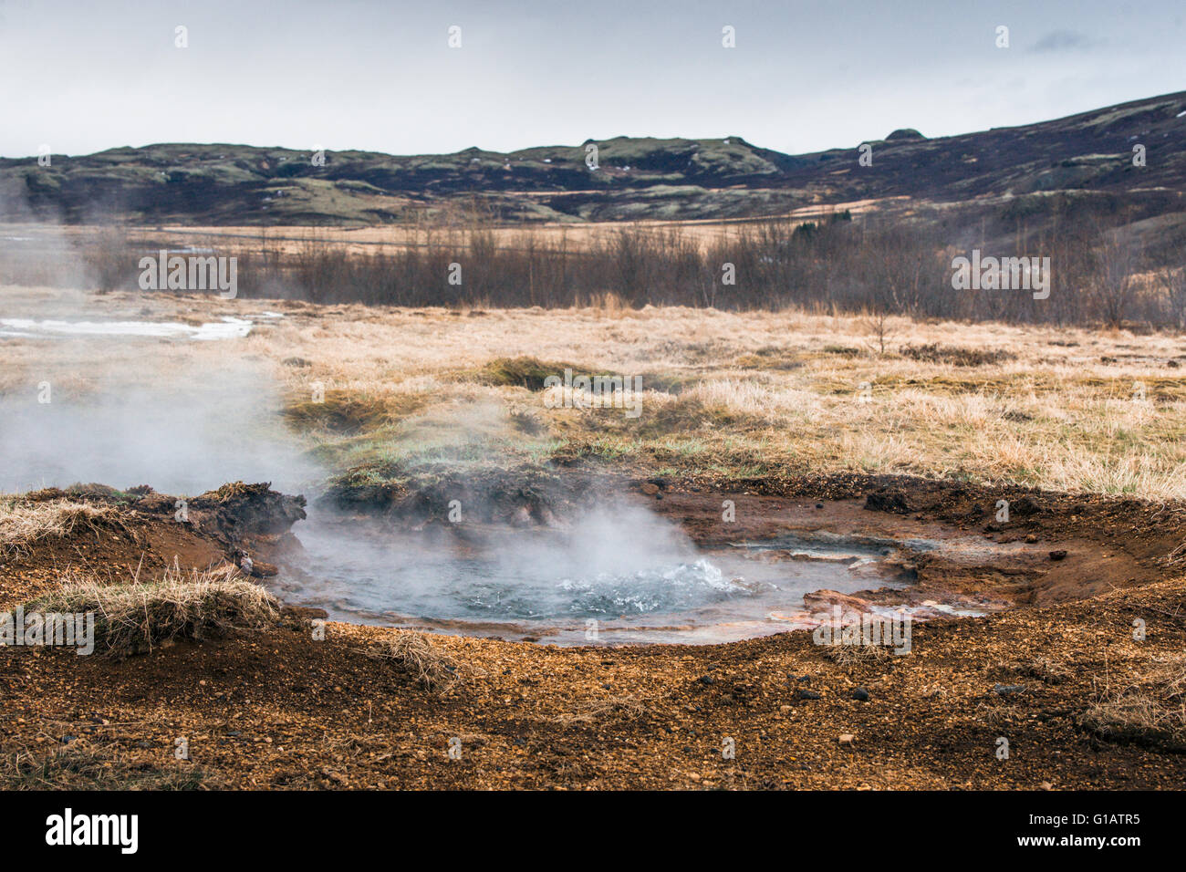 Geothermal puddle with boiling water in Iceland Stock Photo - Alamy