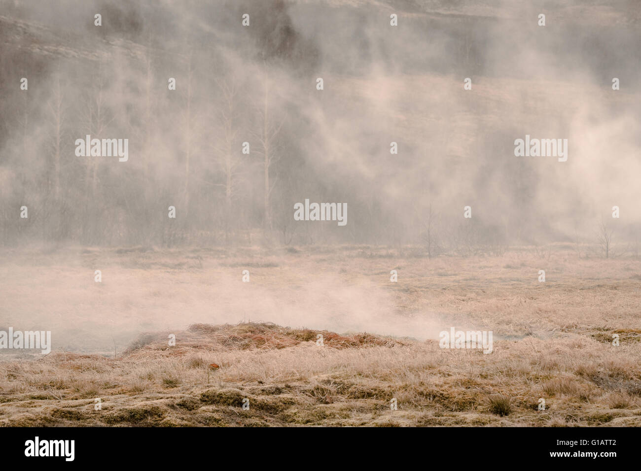 Misty field with a mystic fog in the morning Stock Photo - Alamy