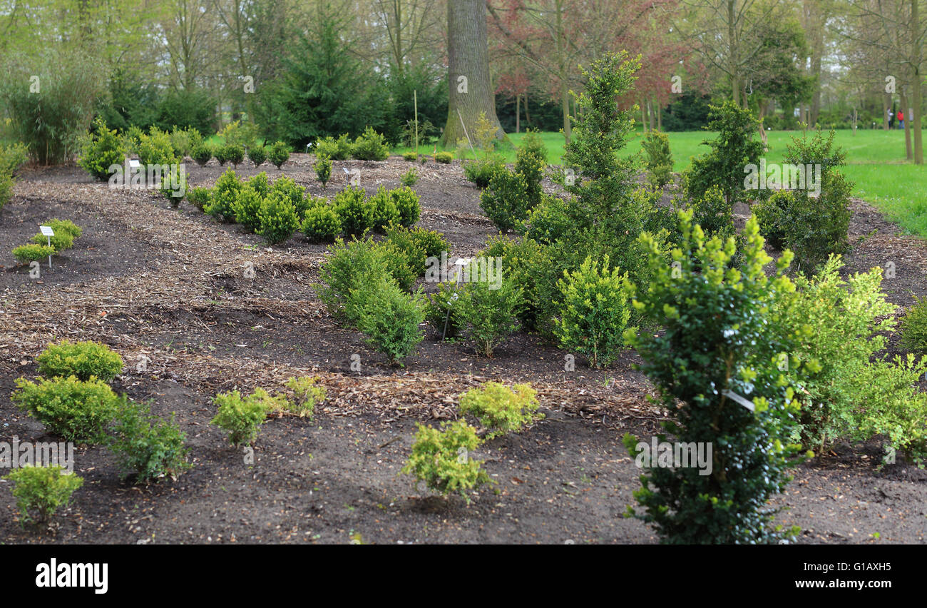 750 square meters photo hi-res stock photography and images - Alamy