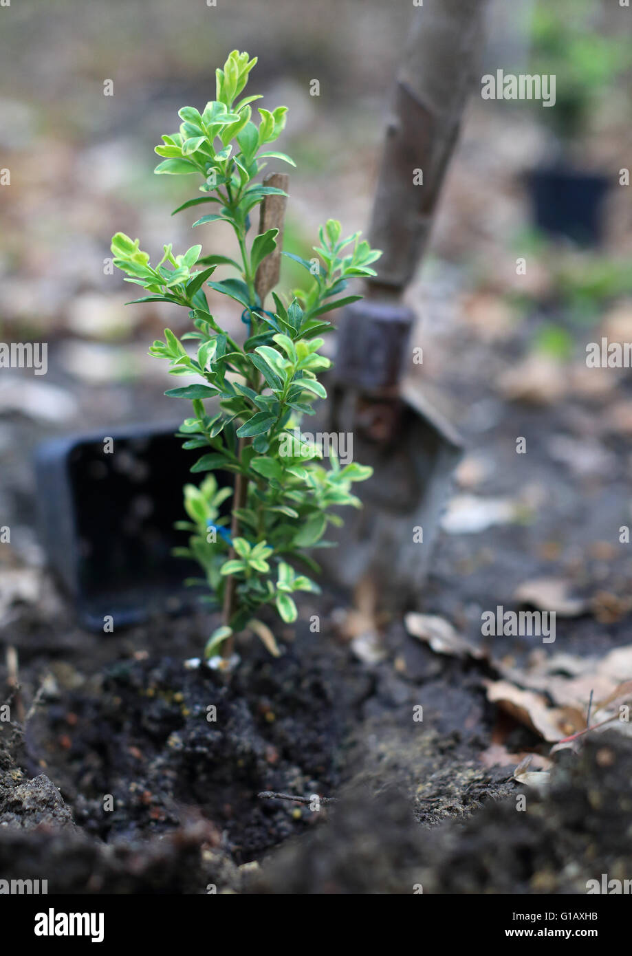 750 square meters photo hi-res stock photography and images - Alamy