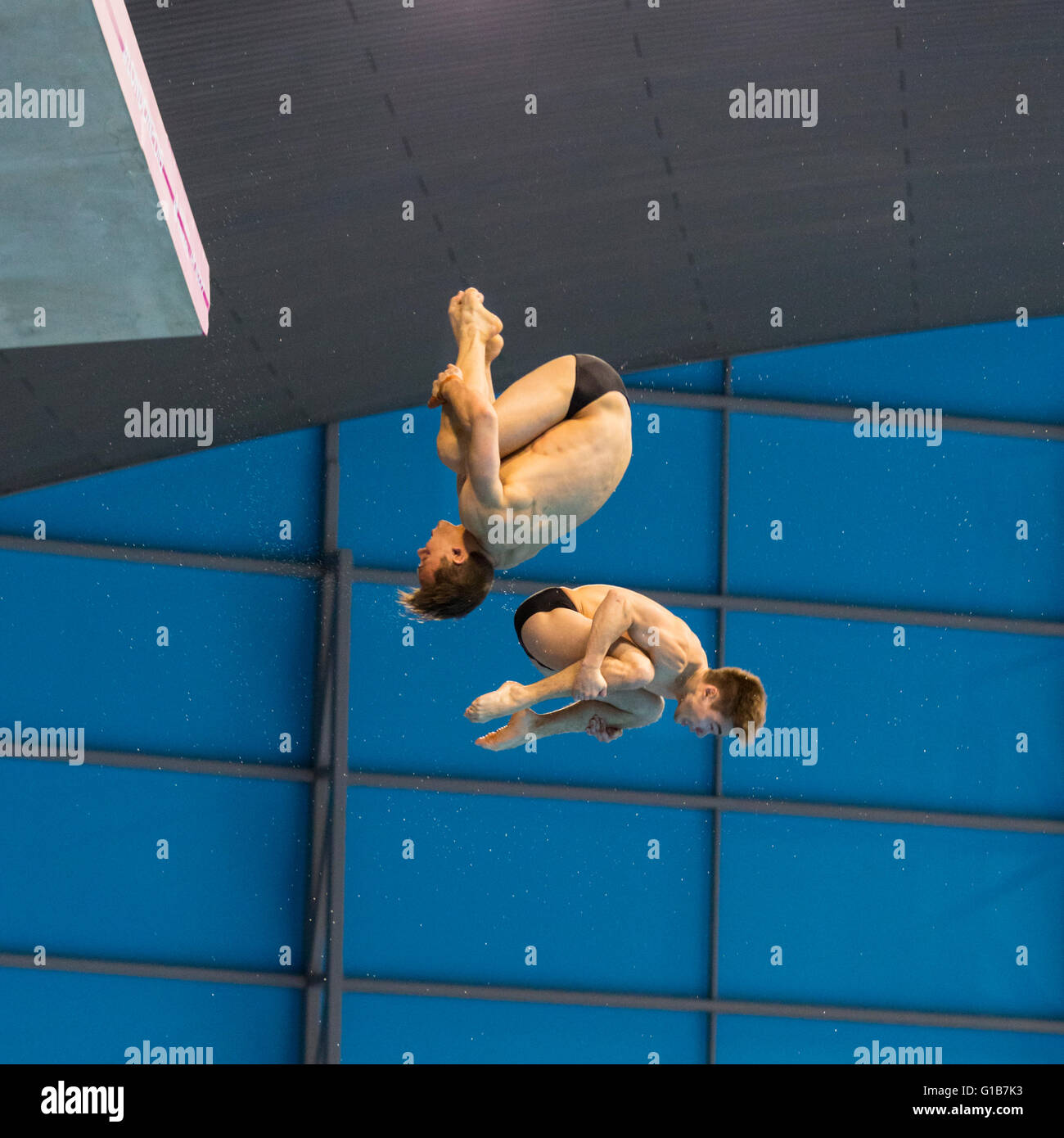 Aquatics Centre, Olympic Park, London, UK. 12th May 2016. British ...