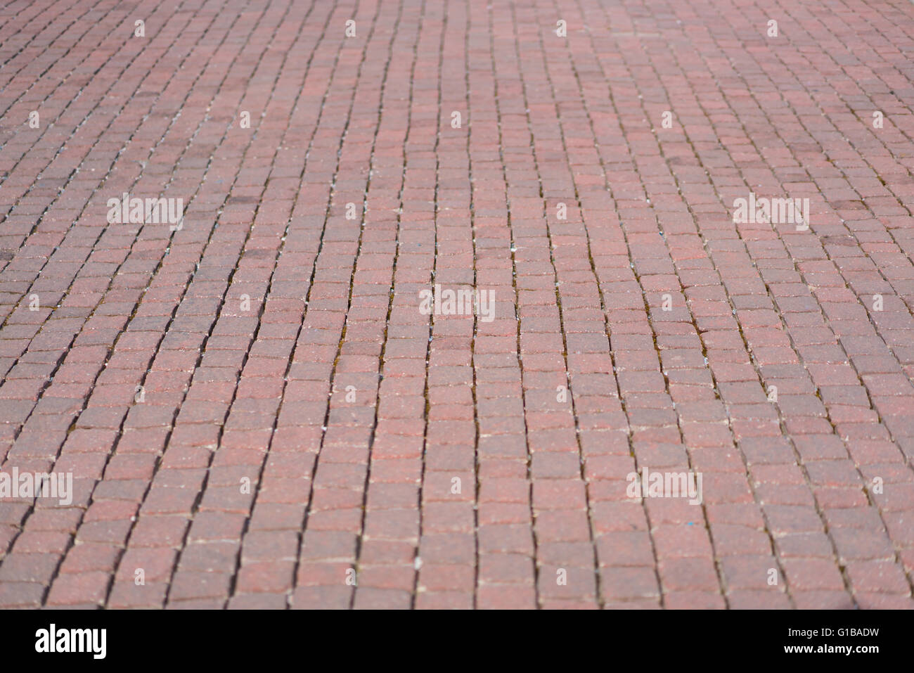 Park walk tiles floor hi-res stock photography and images - Alamy