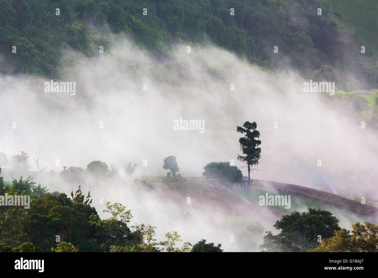 Fog flow hi-res stock photography and images - Alamy